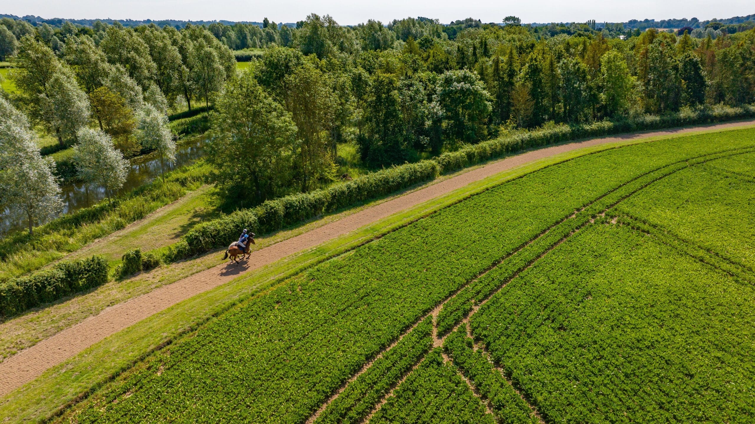 Summer Fun Ride 2025 - Langham Hall Estate